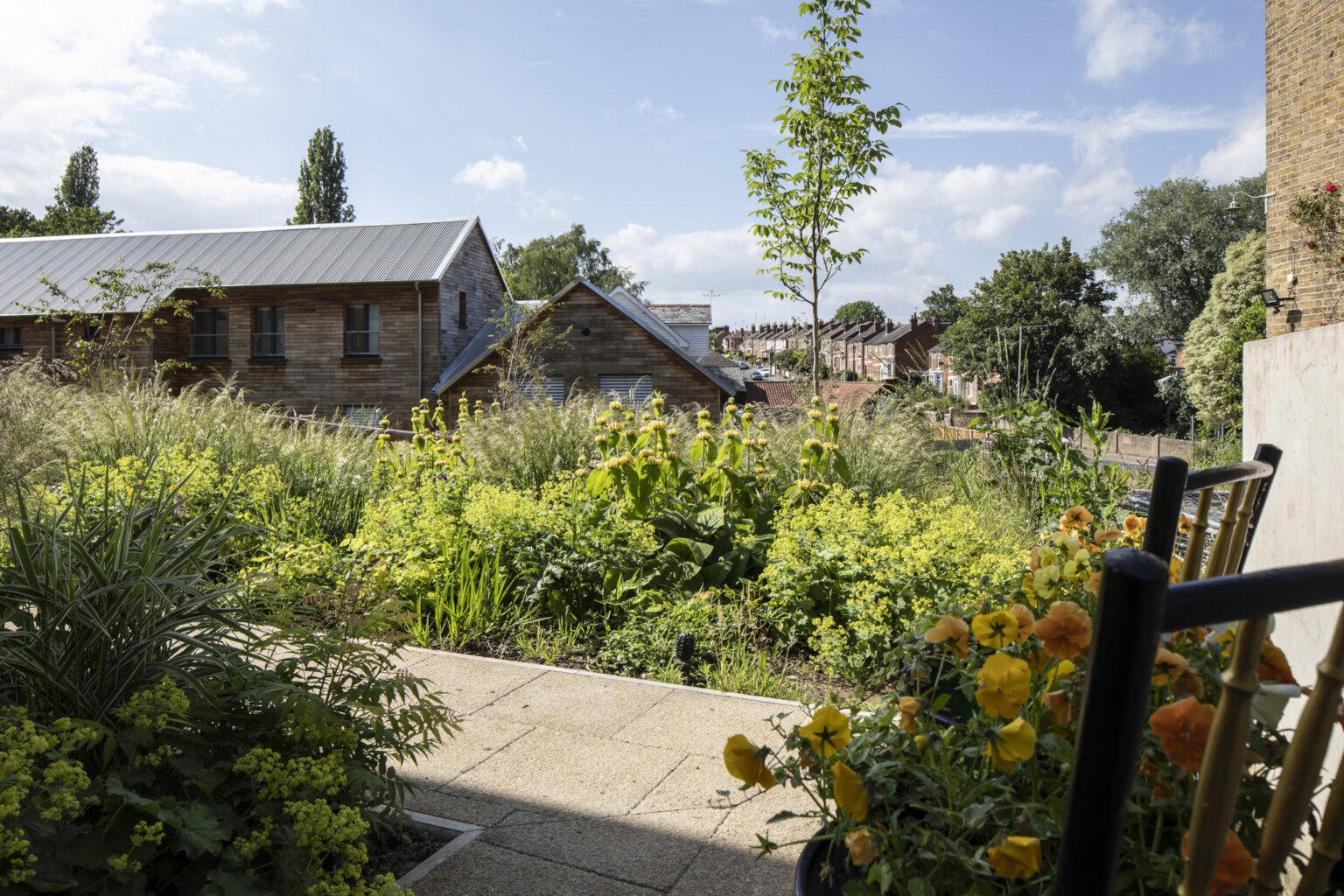 Grounds - Cannock Mill Cohousing